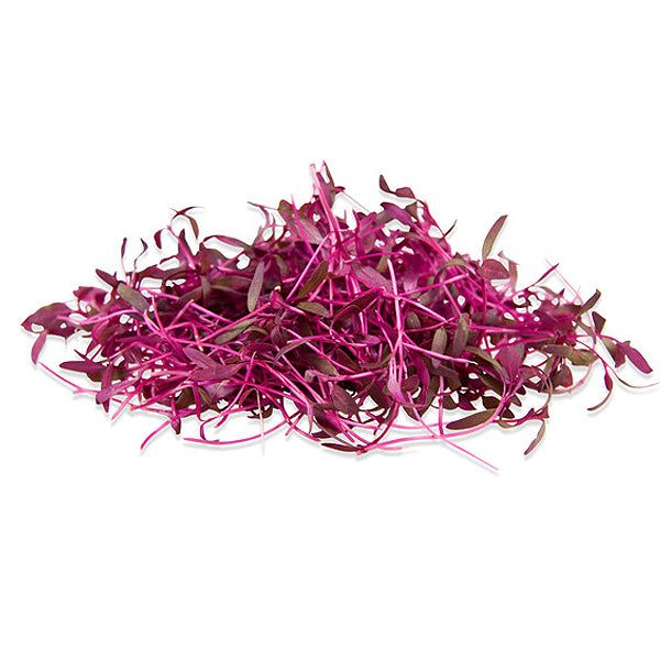 Micro Cress – Fruve London