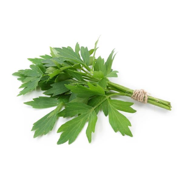 Lovage – Fruve London