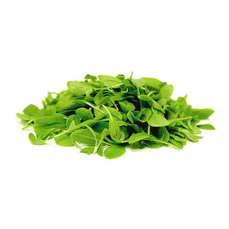 Micro Lemon Sorrel (48hr Pre-Order) – Fruve