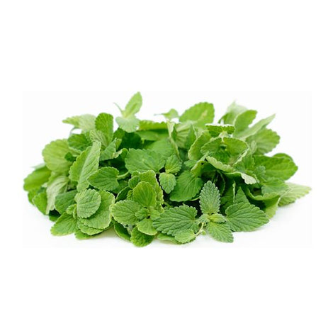 Micro Mint – Fruve
