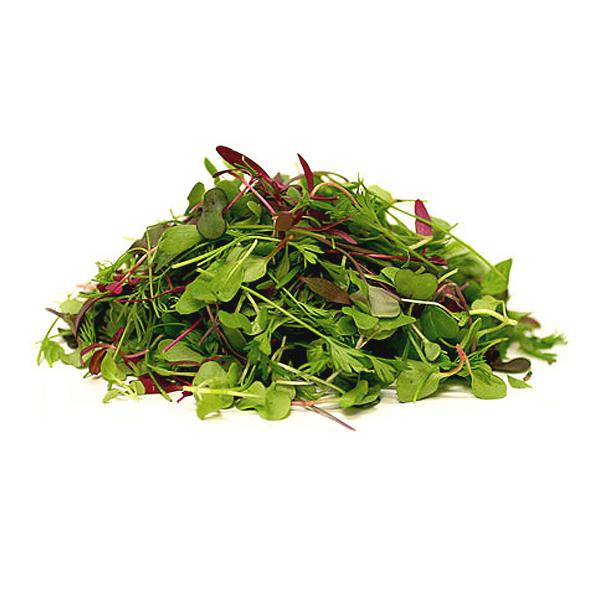 Micro Mixed Cress – Fruve