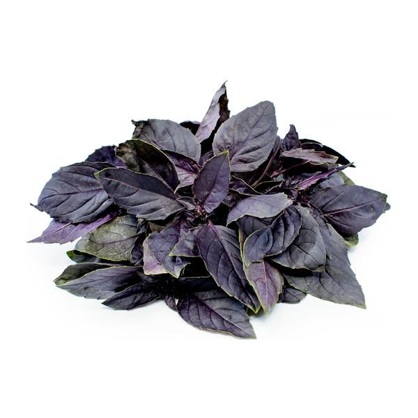 Micro Red Basil – Fruve