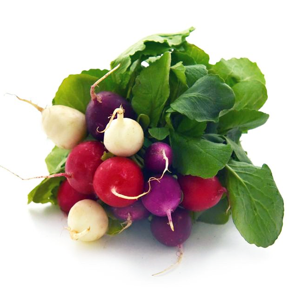 Rainbow Radish – Fruve