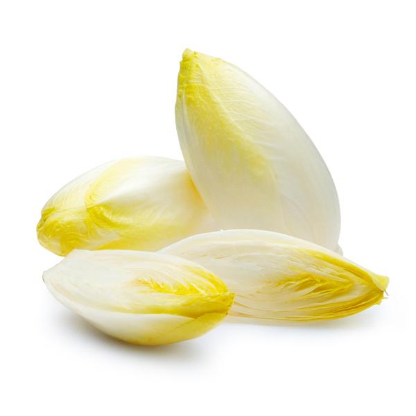 White Chicory – Fruve
